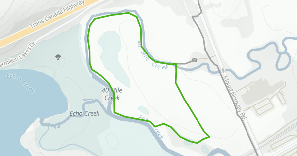 Fenland Loop Mountain Biking Trail - Banff, AB