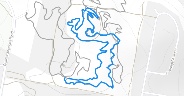 H2O-Blue Loop Mountain Biking Trail - Hornsby