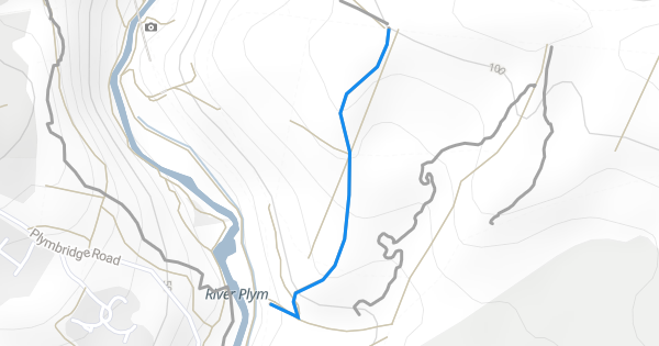 Going-Home Trail Mountain Biking Trail - Plymouth