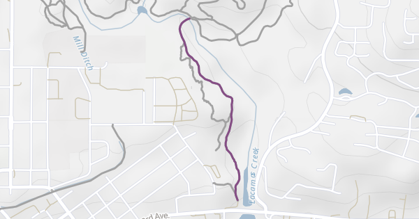 Lacamas Creek Trail (Lower) Mountain Biking Trail - Camas