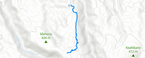 Honolua Ridge Trail Hiking Trail - Kapalua, Hawaii