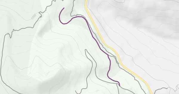 Barking Spider FSR Multi Trail - Rossland, BC