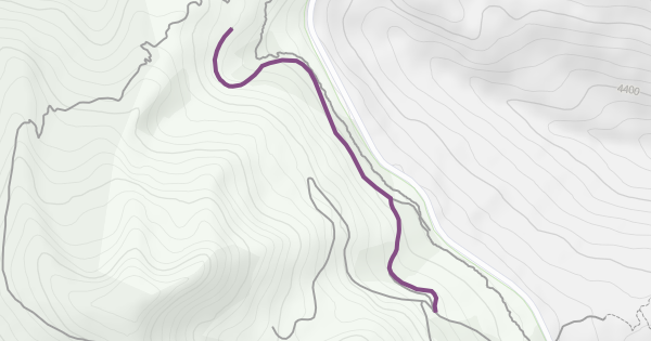 Barking Spider FSR Multi Trail - Rossland, BC