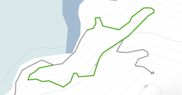 John C. Pointner Memorial Wildlife Sanctuary Trail Hiking Trail - Coeur ...