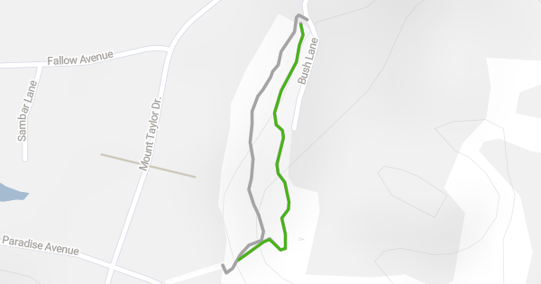 Mount Taylor Lower Track Mountain Biking Trail
