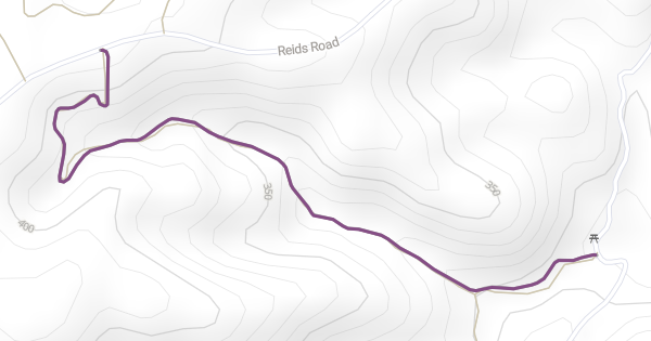 Red Ironbark Track Mountain Biking Trail - | Trailforks