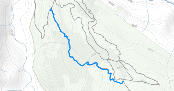 Wooha Mountain Biking Trail - Bralorne, British Columbia