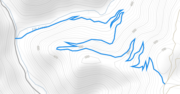 Wilson River Trail Multi Trail - Tillamook, Oregon