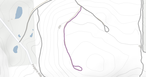 Holyoake Fireroads Multi Trail - Dwellingup | Trailforks