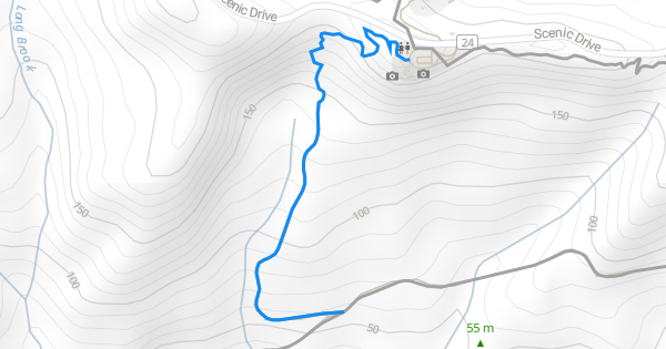 Slip Track Hiking Trail - Waitakere Ranges, Auckland