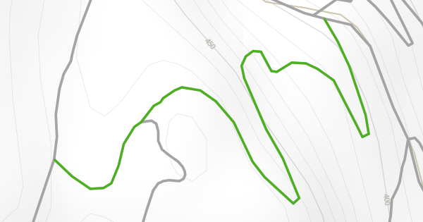 Easy, Tiger Mountain Biking Trail - Issaquah, Washington