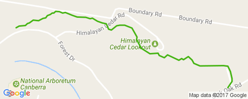 Himalayan Cedar Trail Mountain Biking Trail - Canberra
