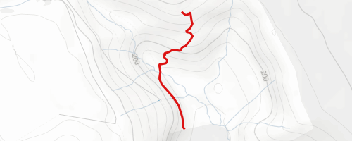 Ripped Backside Mountain Biking Trail - York