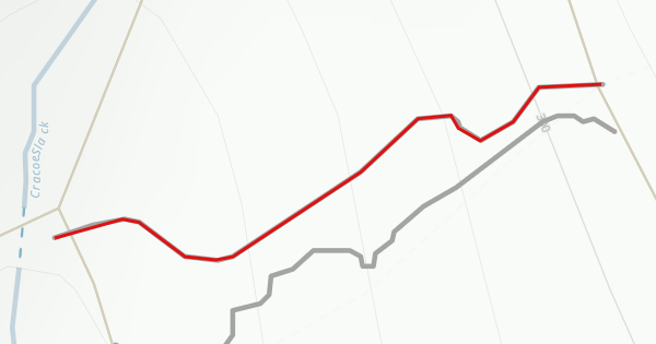Weasel World Mountain Biking Trail - York | Trailforks