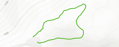 Vista Point Loop Hiking Trail - Clark Fork, ID
