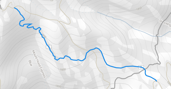 Lower Wizard Way Trail Hiking Trail - Government Camp