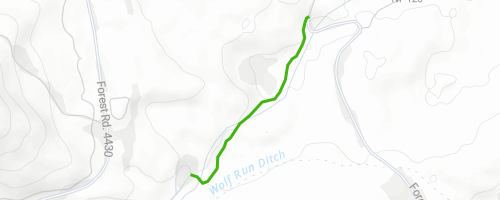 Eight Mile Interpretive Trail Multi Trail - Mt. Hood