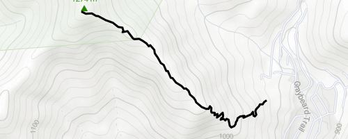 Big Piney Ridge Trail Multi Trail - Montreat, NC