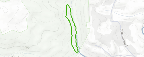 Virgin Hemlock Trail Hiking Trail - Morgantown, WV