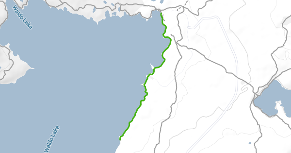 Waldo Shoreline Trail Hiking Trail - Oakridge, Oregon