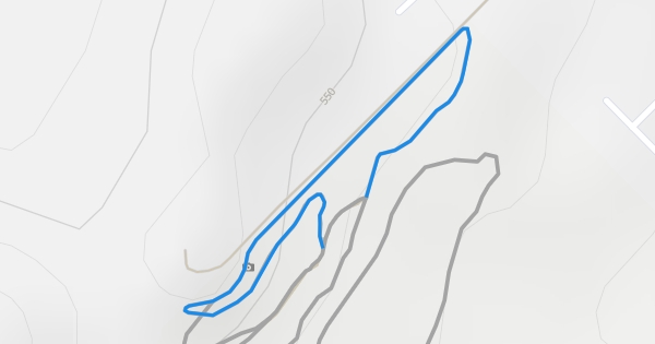8B Orange Trail Multi Trail - Kerrville, Texas