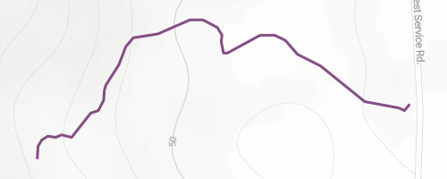 Old Dynamite Road Mountain Biking Trail - - British Columbia