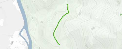 Lower Plateau Trail Hiking Trail - Springfield, Oregon
