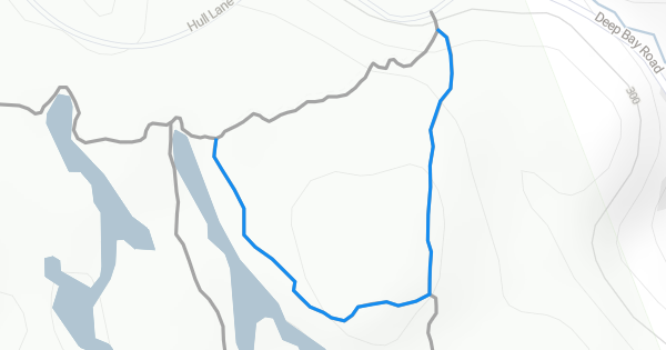 Fire Tower Loop Hiking Trail - - Ontario | Trailforks