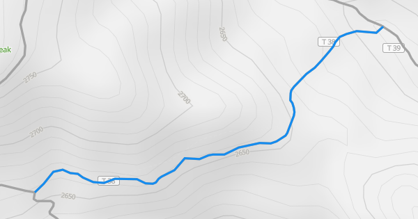 Cut Across Trail Hiking Trail - Alto, New Mexico