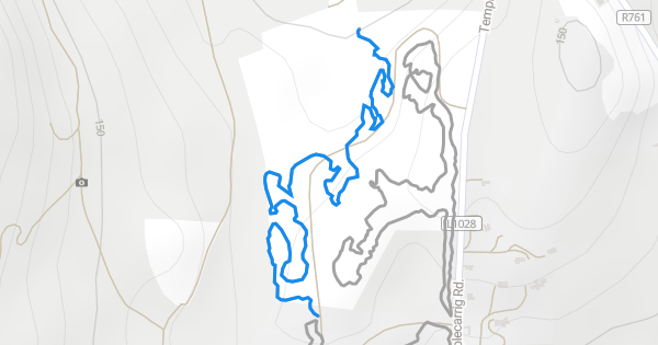 Sweetwood Track Mountain Biking Trail - Bray