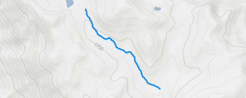 Mad River (Blue Creek to Alder) Multi Trail - Plain