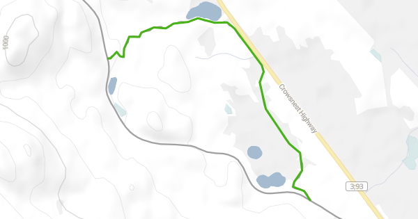 Rampart Prairie Connector (Chief Isadore Trail) Multi Trail - Cranbrook, BC