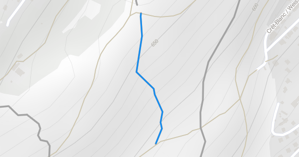 Evilard Trail Mountain Biking Trail - Biel/Bienne