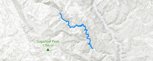 Mad River (Lower) Mountain Biking Trail - Plain, WA