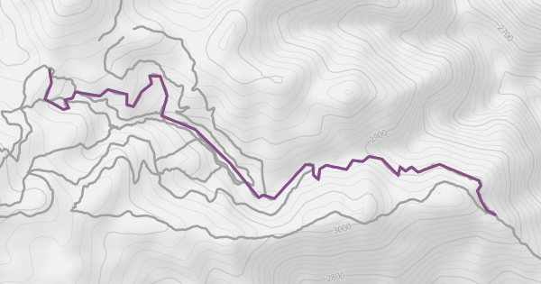 Desviación a Nevería Mountain Biking Trail