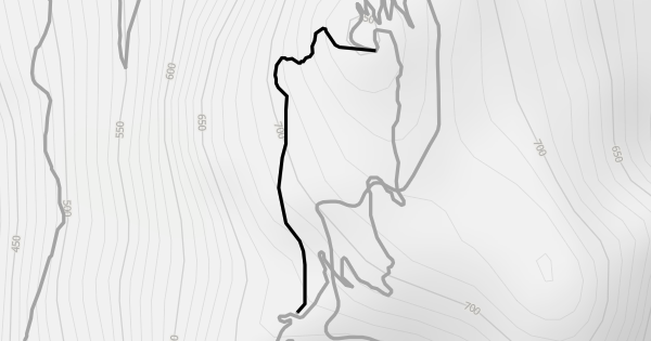 The Abyss Mountain Biking Trail - Wānaka | Trailforks