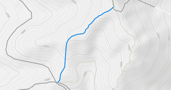 SW Trail Mountain Biking Trail - Wote | Trailforks