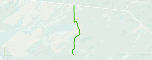 Roberts Lakes Trail - Florida Trail Hiking Trail - - Florida