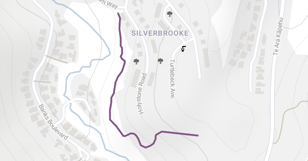 Silverbrooke Walking Track Multi Trail - | Trailforks