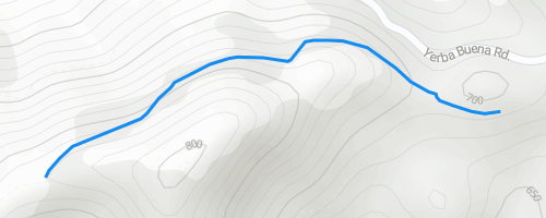 Backbone Summit Mountain Biking Trail - - California