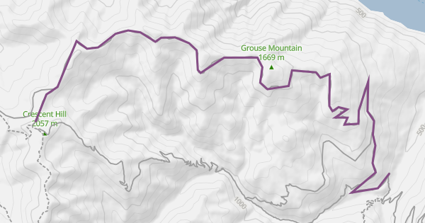 Shady Pass Road (Pot Peak Loop) Multi Trail - Plain