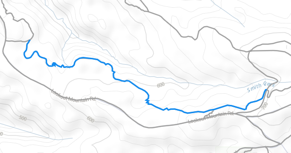 Catamount Trail (Mid) Mountain Biking Trail - Salem