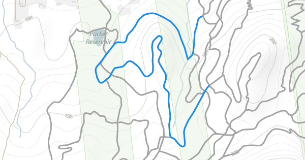 Glenna Bell Mountain Biking Trail - Hadley, Massachusetts
