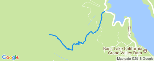 Spring Cove Trail Mountain Biking Trail - Bass Lake