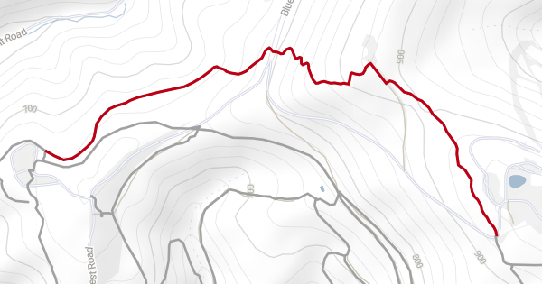 Lost Turkey - Tower Section Multi Trail - Pavia, PA