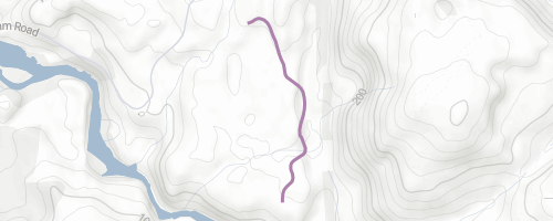 Old FSR Multi Trail - Squamish, BC | Trailforks