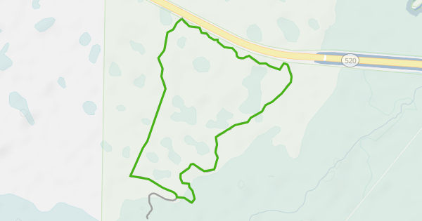 Tosohatchee WMA White Trail Multi Trail - Christmas