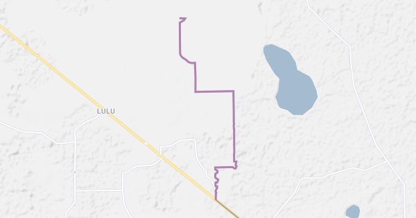 Florida Trail - Plum Creek Timberlands Roadwalk Multi Trail - Lake ...