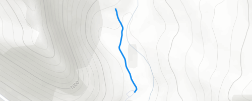 Legacy - Jaques Lake (Summit Lakes) Multi Trail - Jasper