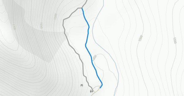 Legacy - Jaques Lake (Summit Lakes) Multi Trail - Jasper